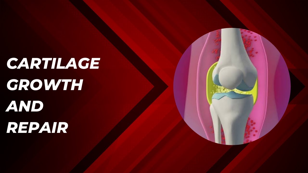 CARTILAGE GROWTH AND REPAIR - YouTube