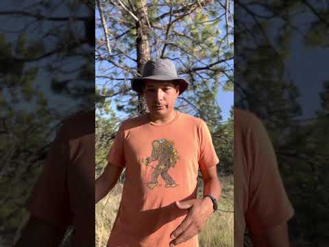 Brother's Bigfoot Encounter in Southeastern Montana: Join the Search