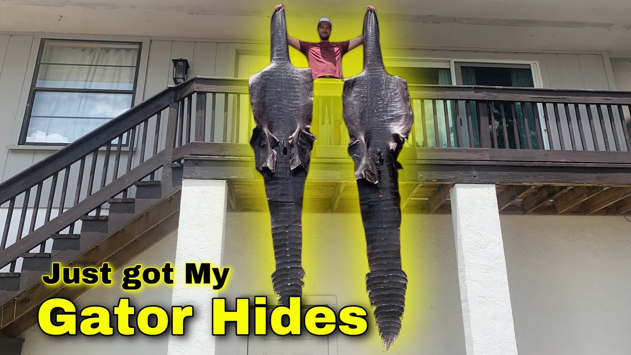 DIY Alligator Hide Tanning vs Professional tanning(Sebring Custom ...