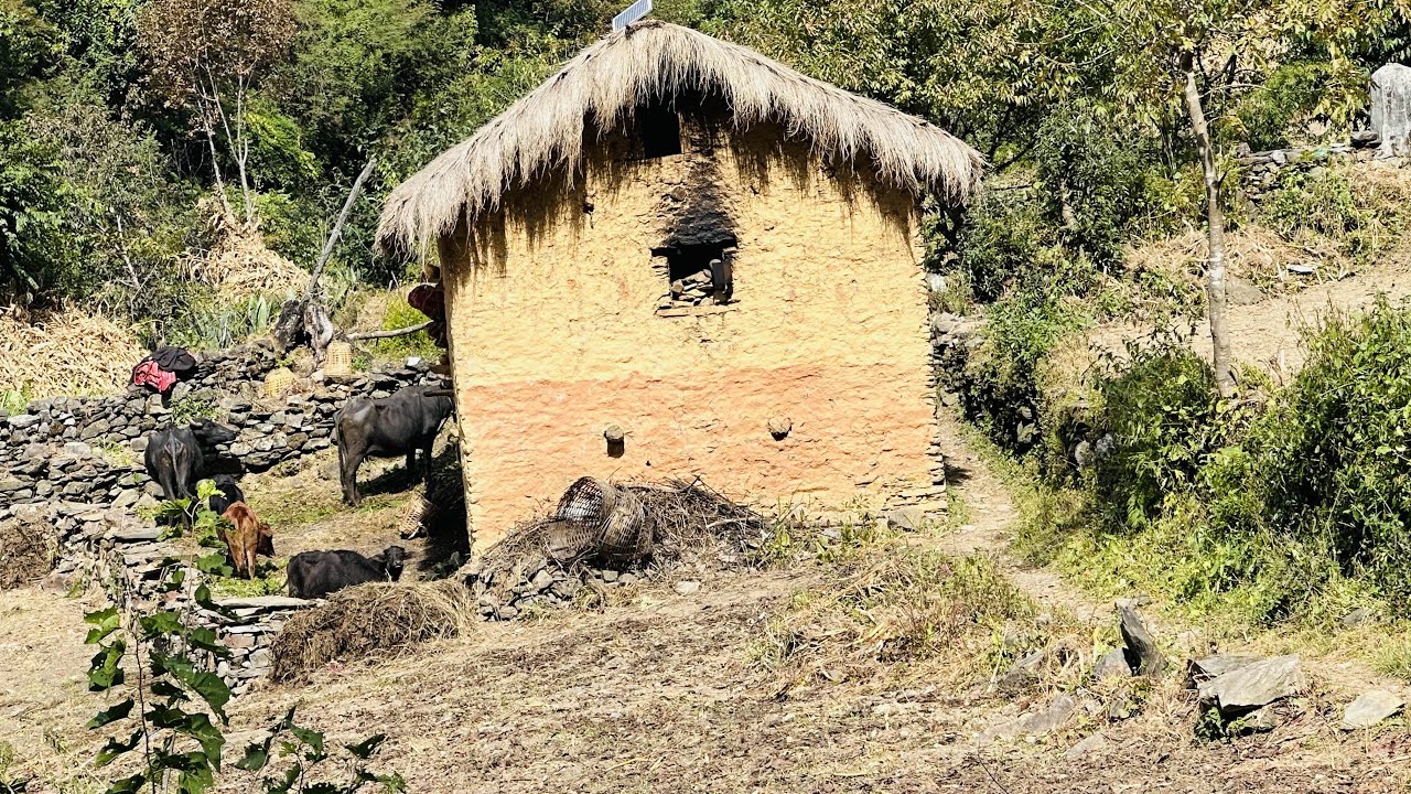 The origin story of Gramin village and the life of ||mountain village ...