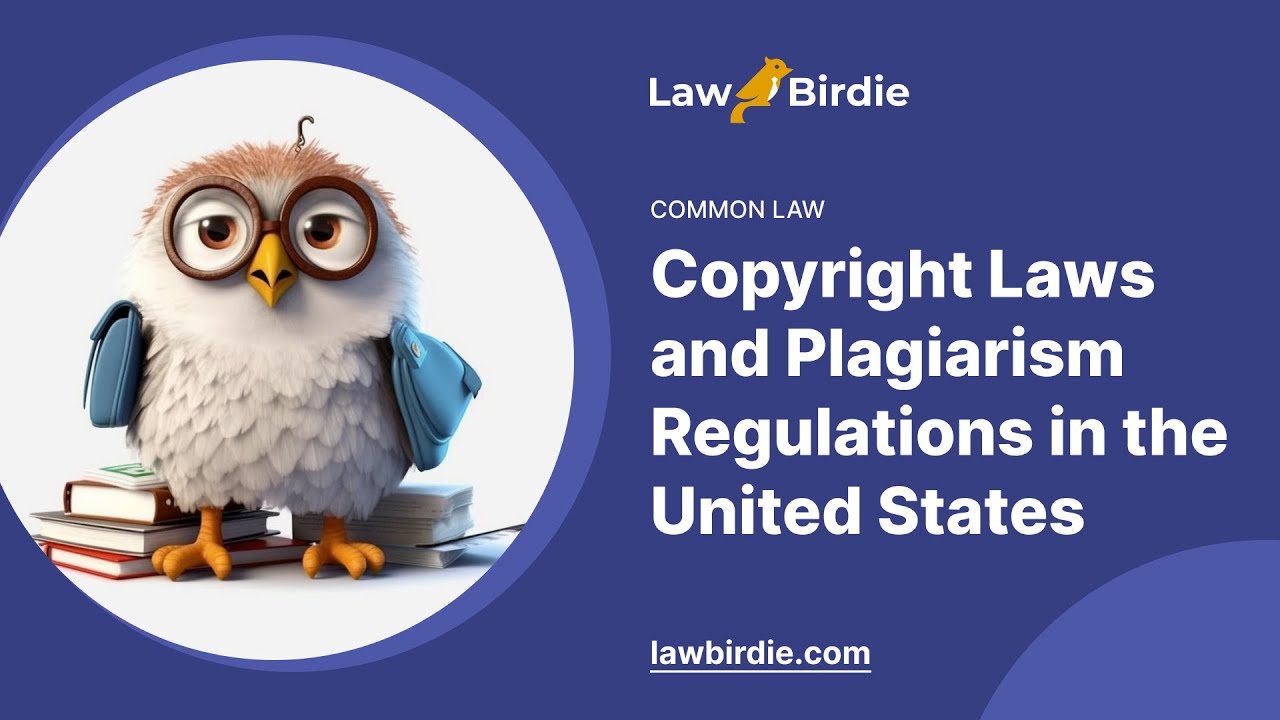 Copyright Laws and Plagiarism Regulations in the United States - Essay ...