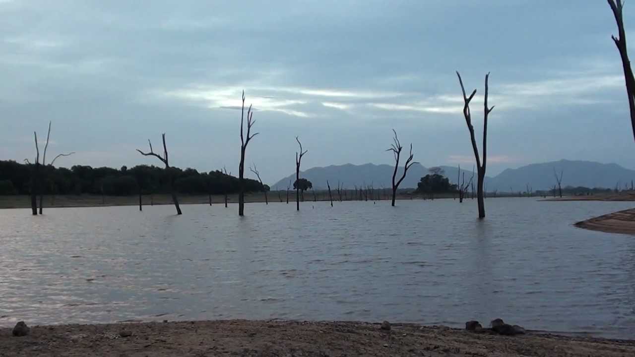 SENANAYAKE SAMUDRAYA. ( Inginiyagala Tank.) - YouTube