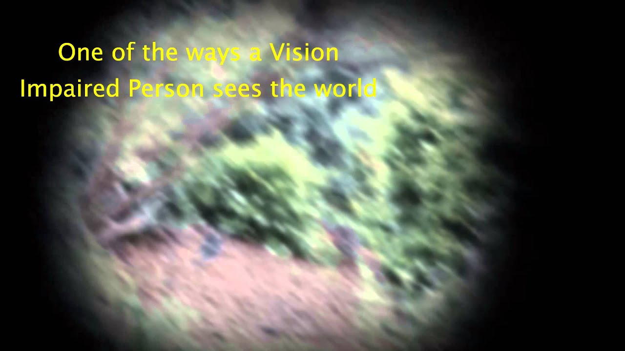 VIP Rap .....(Vision Impaired Person Rap) - YouTube