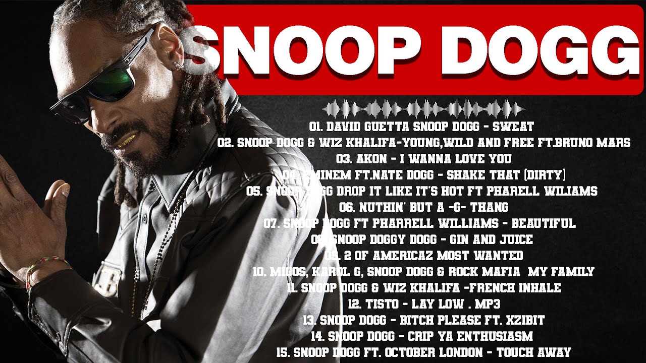 1 Hour of Great Snoop Dogg Songs - Best of Snoop Dogg Old School Hip ...