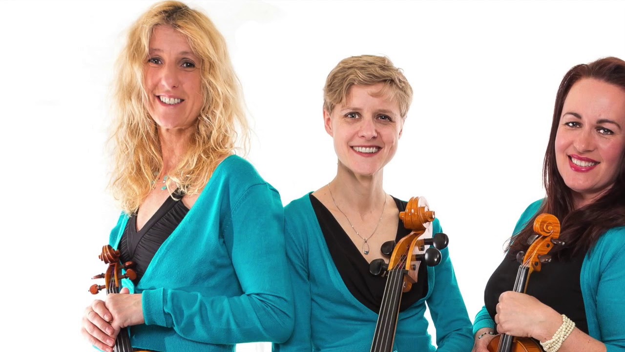 Arco String Quartet - Can't Help Falling in Love - YouTube