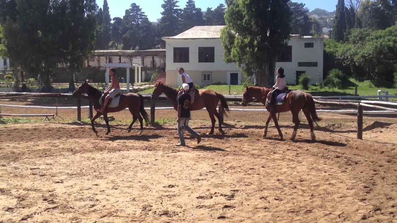 SALSABIL IN THE ROYAL CLUB EQUESTRE DE TANGER - YouTube