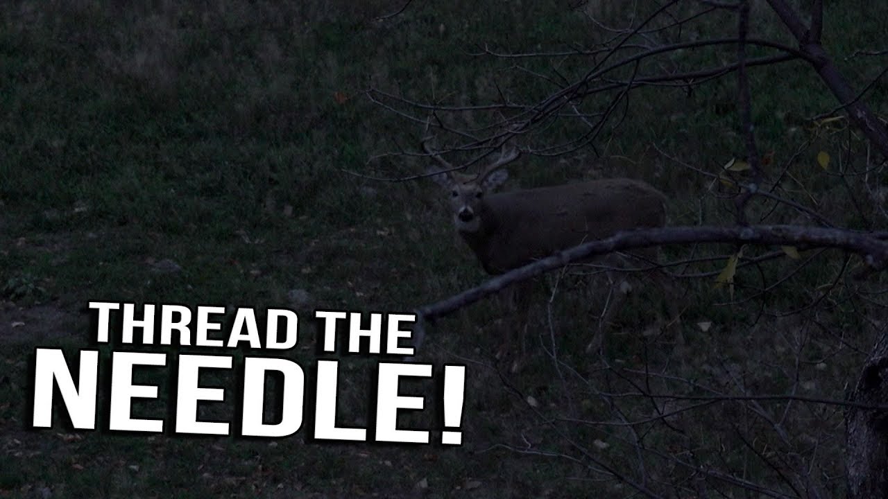 Just the Hunt - SemiLive Hunting Action- Thread the Needle - YouTube