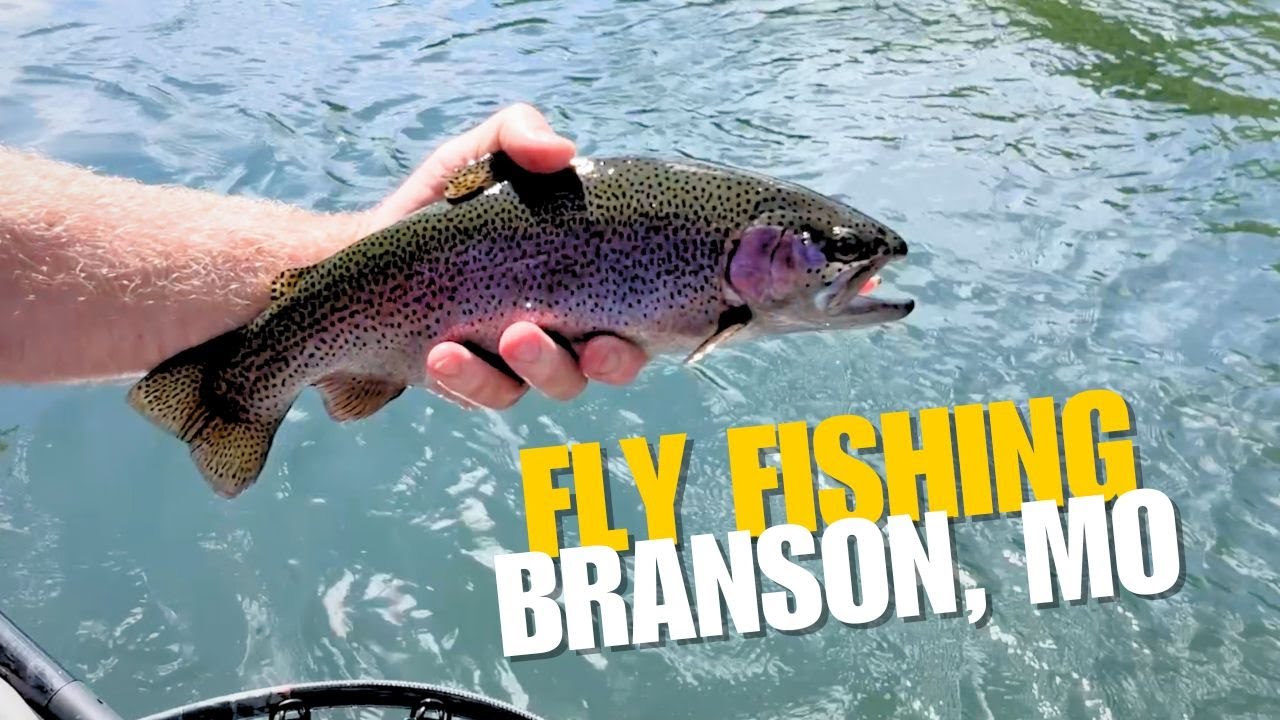 Branson’s Best Fly Fishing: Bear & Darren Sadler on Lake Taneycomo 🌊 ...