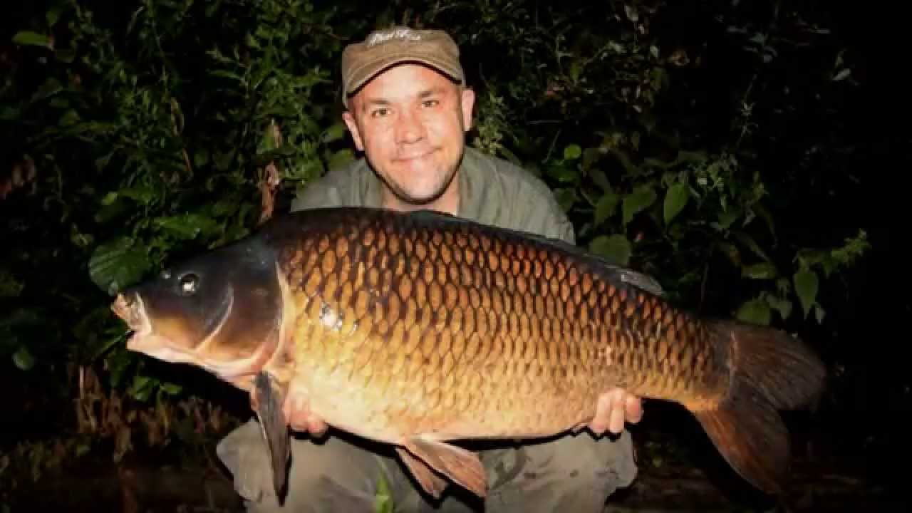 Carp Fishing Sandhurst Lake Part 2 with the Phat Fish Team - YouTube