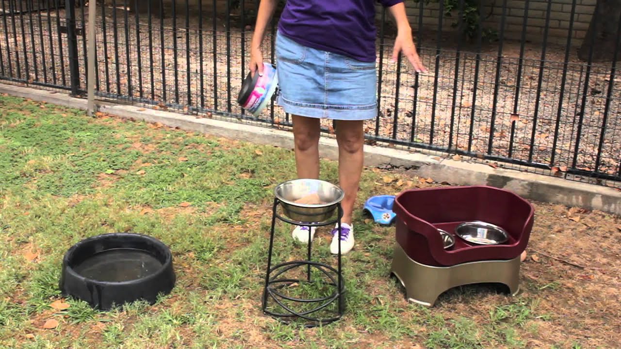 How to Stop a Dog From Scattering Food From the Bowl : Dog Training ...