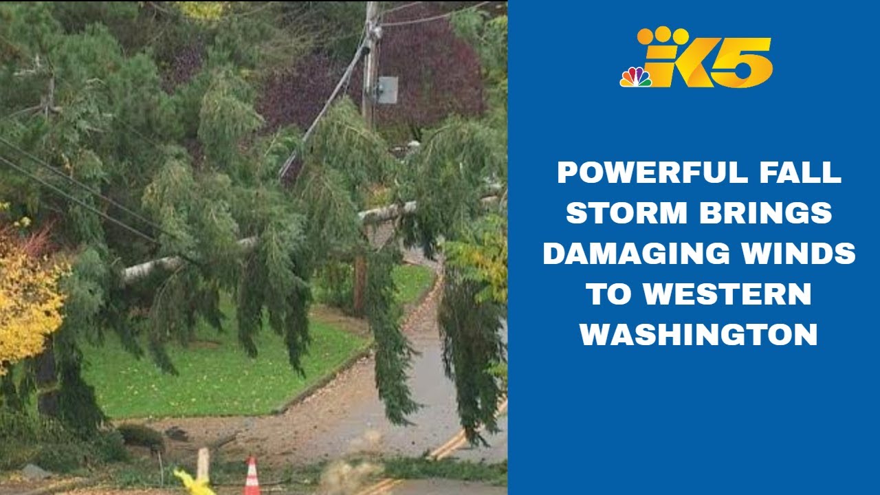 Powerful fall storm slams western Washington with rain, high winds ...