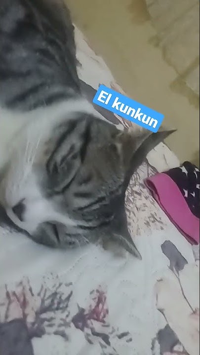 jajajajaja El kunkun - YouTube