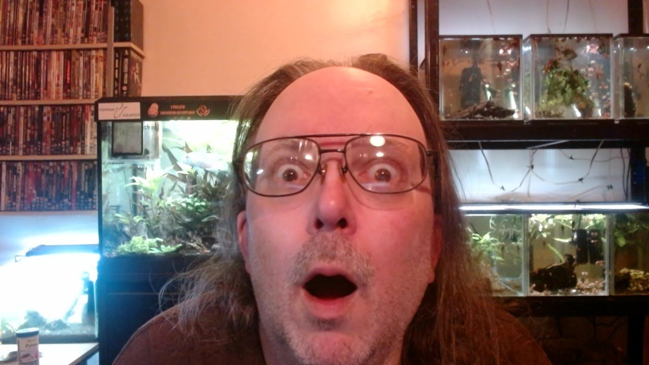 Sunday Sharpe: remember remember the 5th of november - YouTube