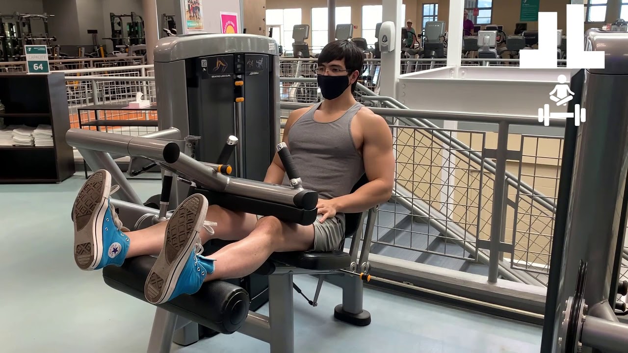 Leg Curl Example - YouTube