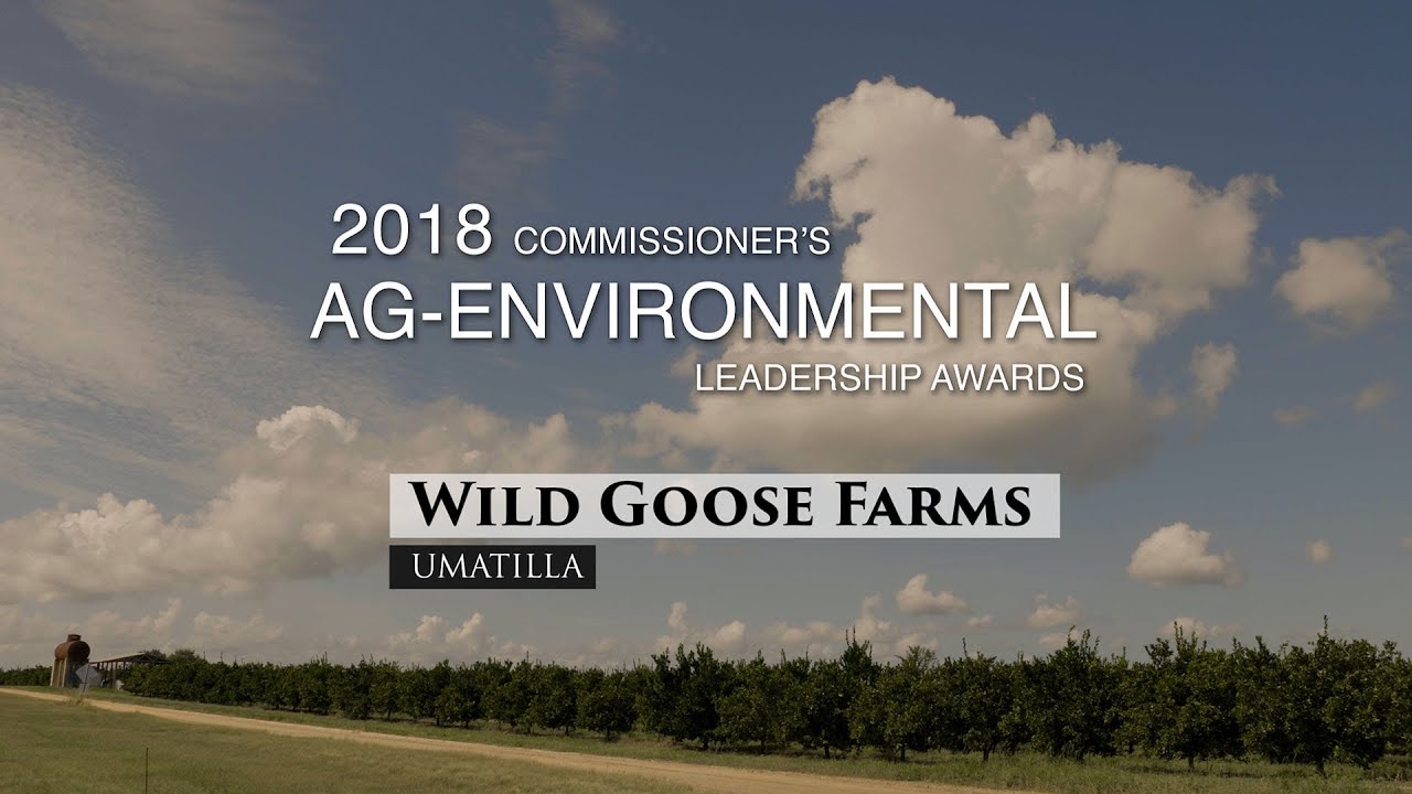 2018 Agricultural Environmental Award :: Wild Goose Farms - YouTube