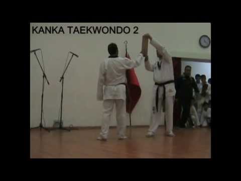 KANKA TAEKWONDO 2
