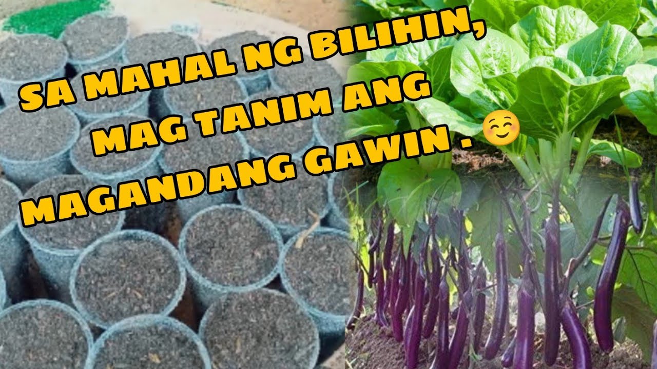 SA MAHAL NG BILIHIN, MAGTANIM ANG MABUTING GAWIN. #agriculture #farming ...