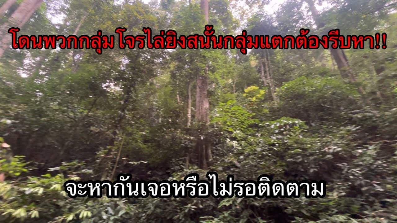 อย่าไว้ใจทางอย่าวางใจคนโดนพ่วงกลุ่มโจรไร้ถล่มในป่าลึก Youtube