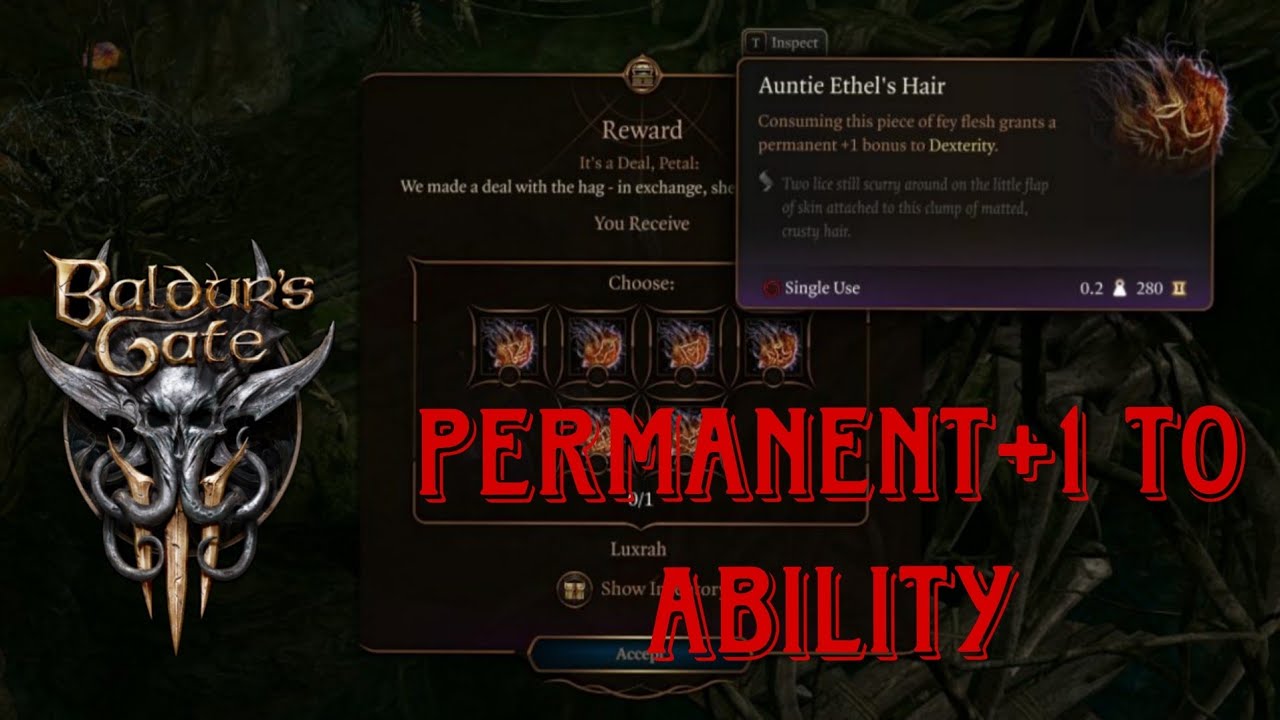 BG3 +1 to Any Ability score (Act1) - YouTube