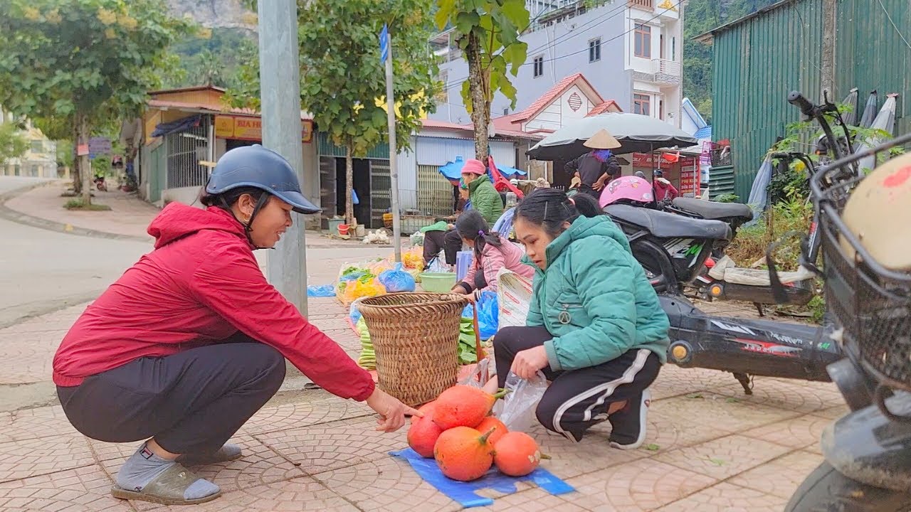 Toai picked gac fruit to sell, Toai cried when he accidentally passed ...