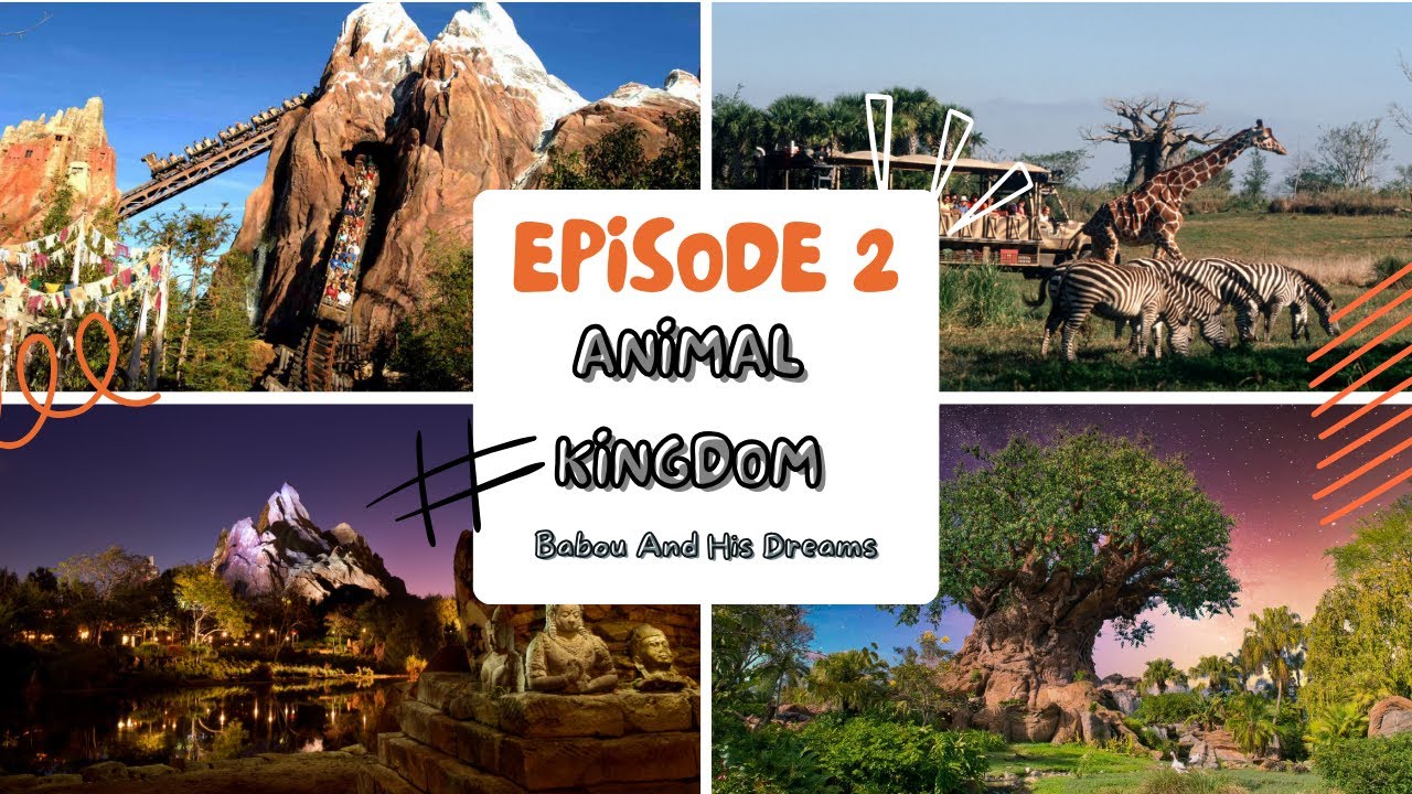 Episode 2 à Walt Disney World - Animal Kingdom - YouTube