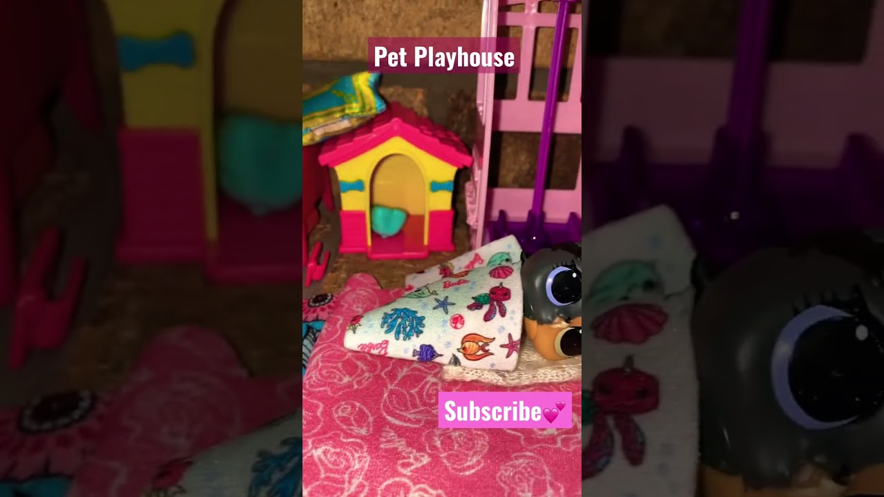 Pet Playhouse 💕 - YouTube