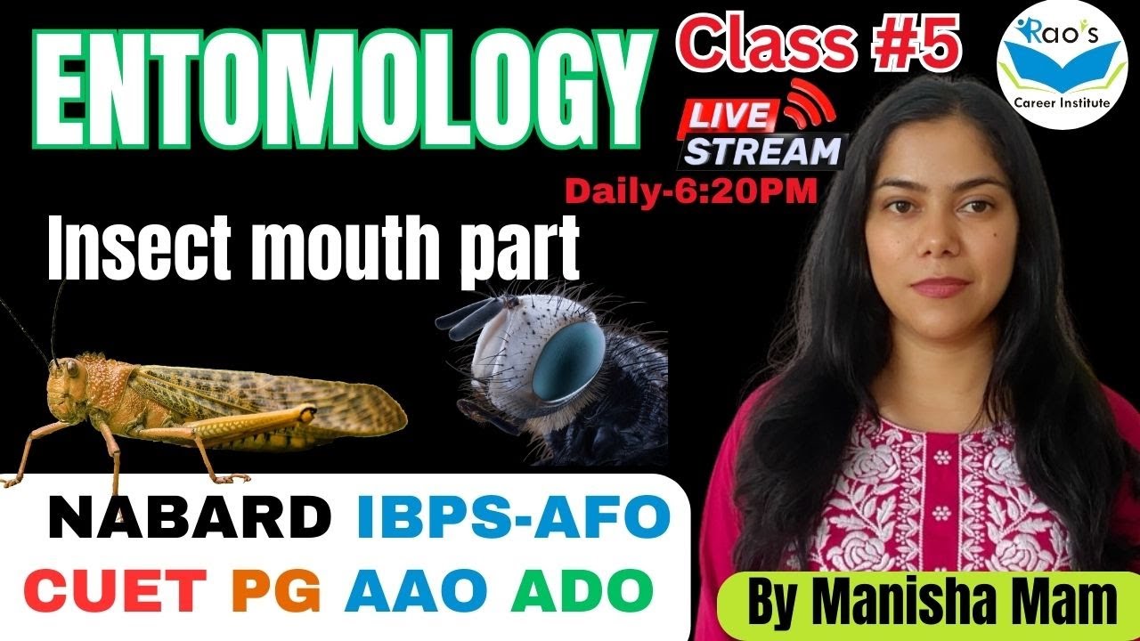 Types of Insect mouthpart || IBPS-AFO || NET,JRF || FCI || NABARD | AAO ...