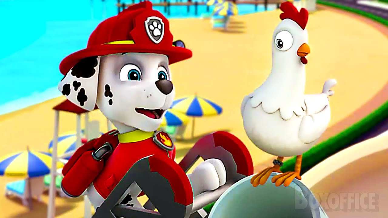 Marshall rescues Chickaletta 🐶🐓 | PAW Patrol Series | CLIP - YouTube