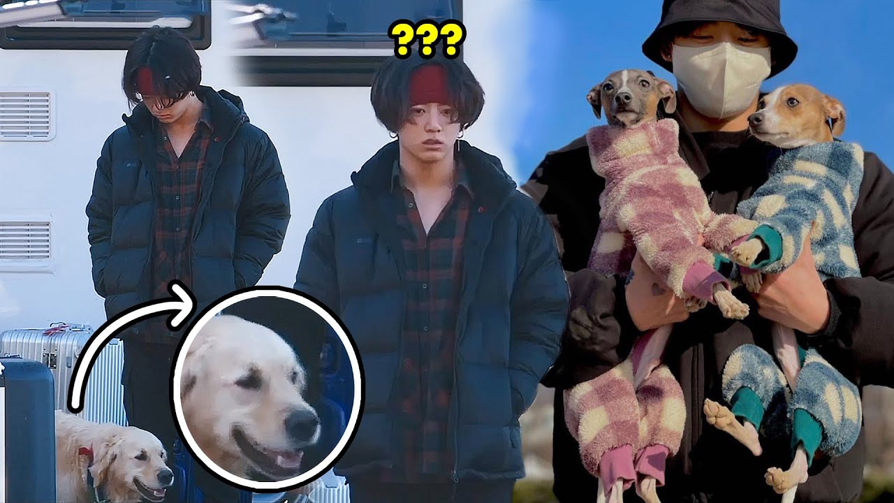 정국과 그의 동물 친구들 모음집 /BTS Jungkook with cute animals - YouTube