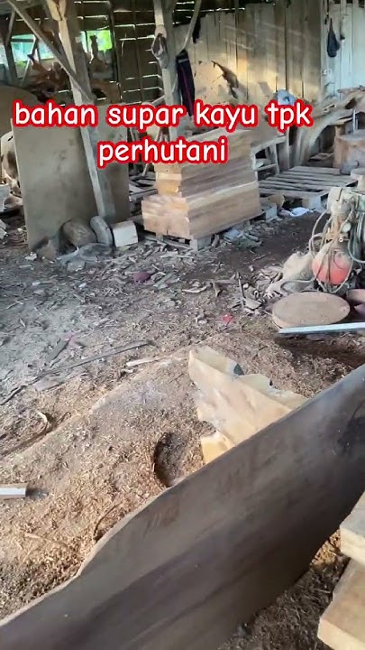 bahan jati super buat tangga dari toko perhutani - YouTube