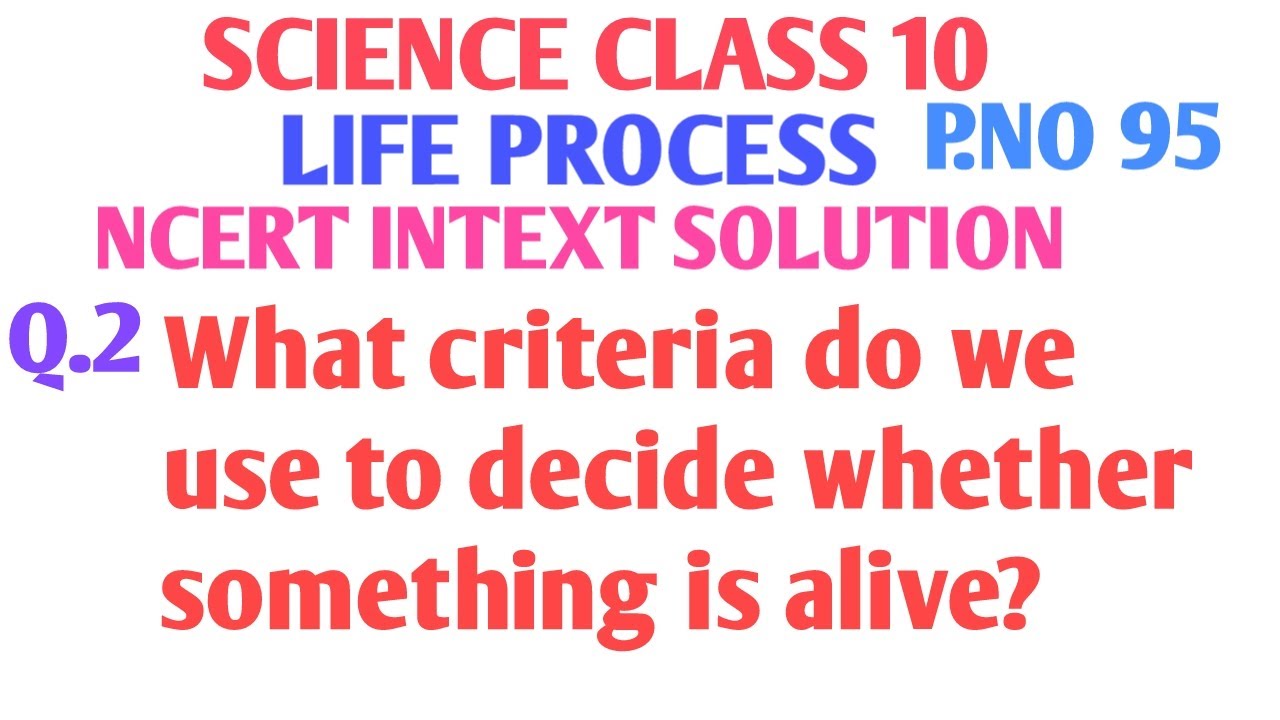 What Criteria Do We Use To Decide Whether Something Is Alive YouTube What Criteria Do We Use To Decide Whether Something Is Alive YouTube