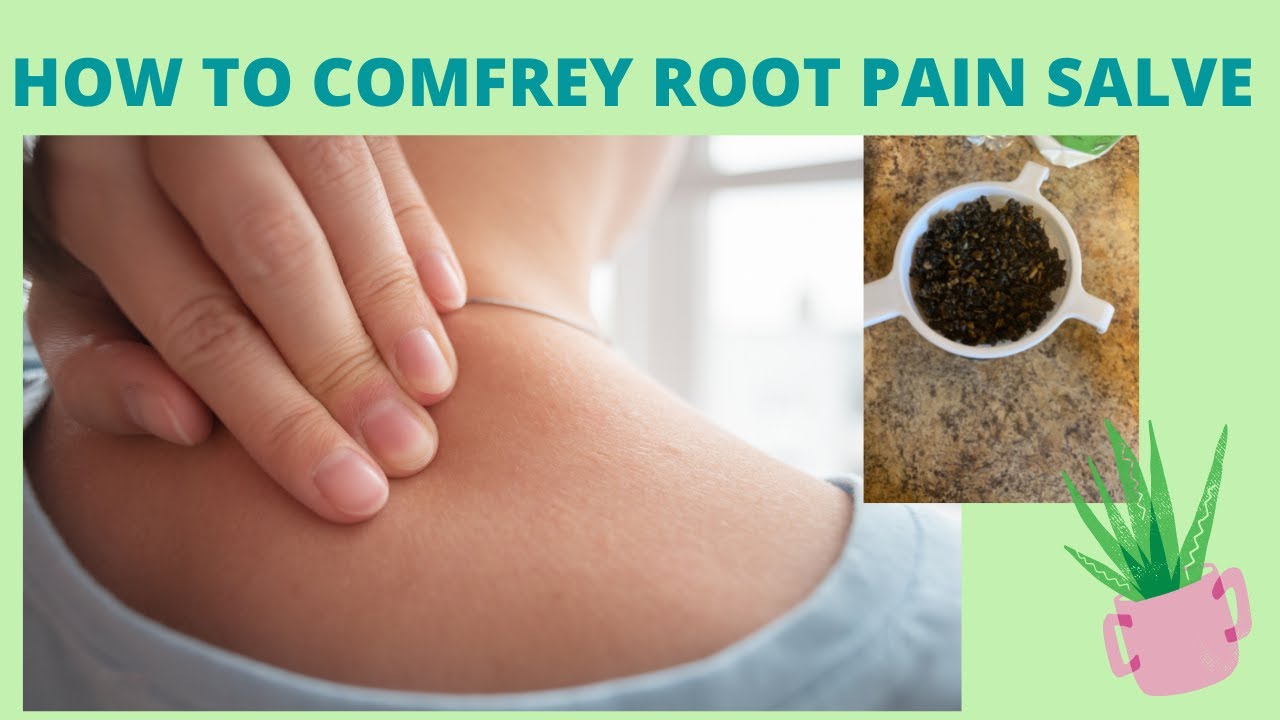 DIY How To Comfrey Root Joint Pain Salve with Aloe Vera and Camphor ...