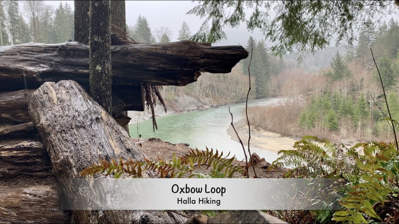 Hiking Oxbow Loop Trail #11 2021. (Middle Fork) Snoqualmie Area (AND ...