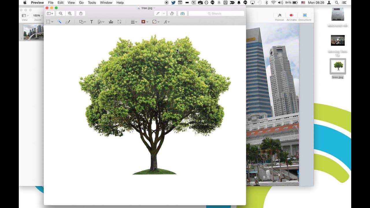 Using Instant Alpha to Remove Image Backgrounds in OSX Preview - YouTube