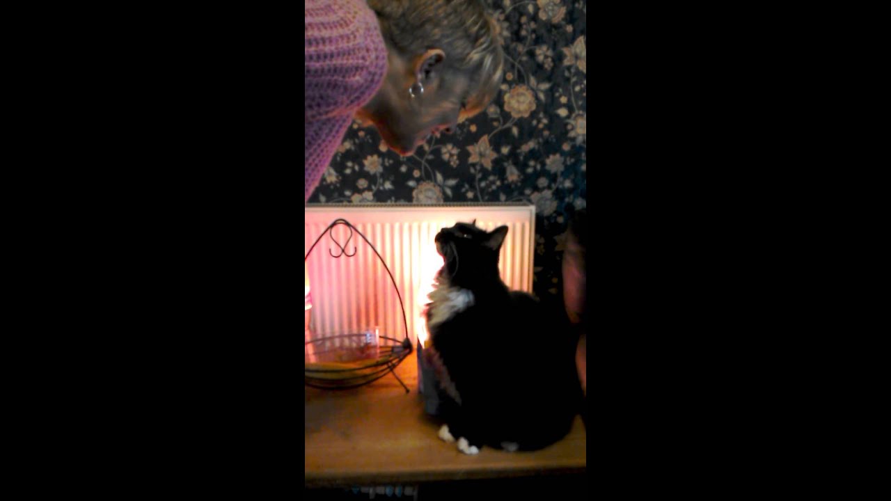 Daisy Kisses His Mummy Youtube