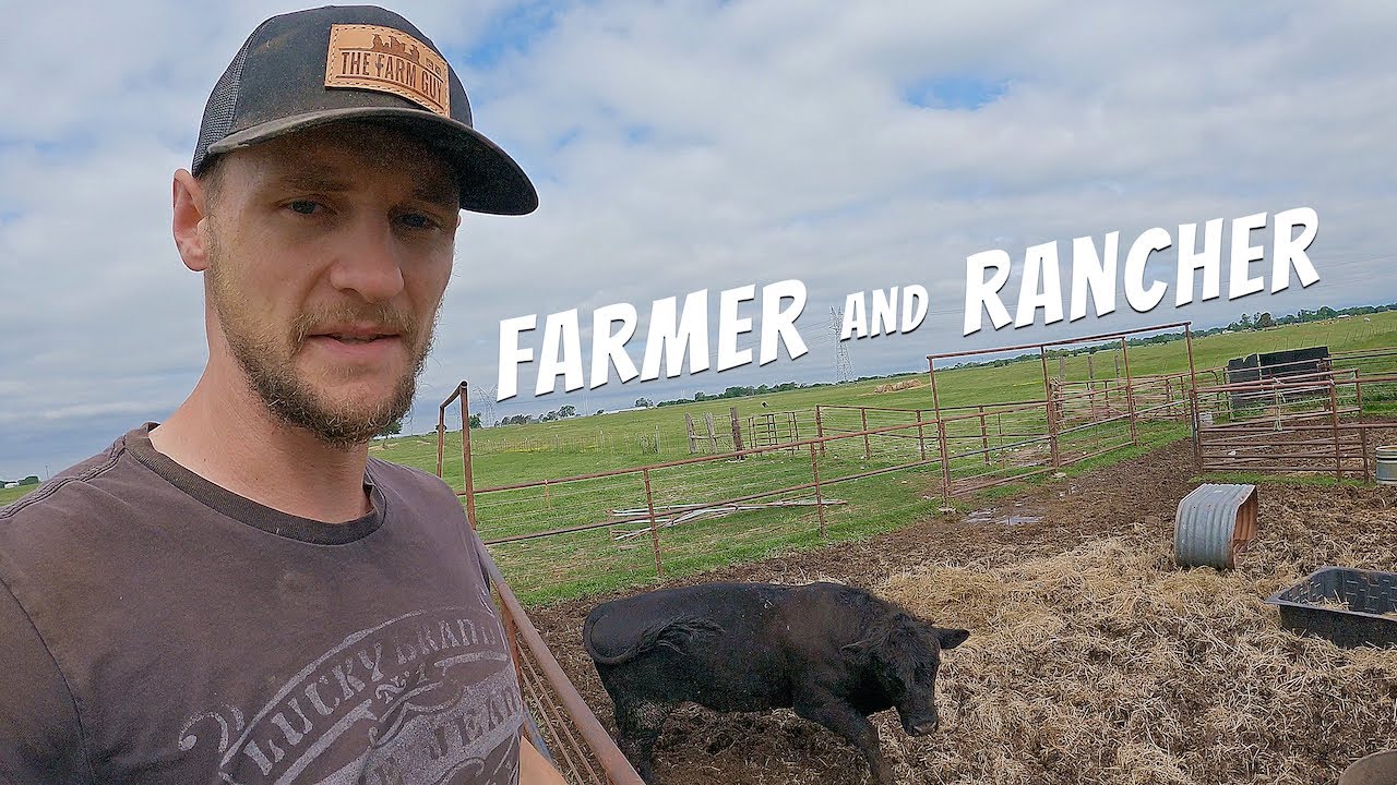Day in the Life of a Farmer & Rancher - YouTube
