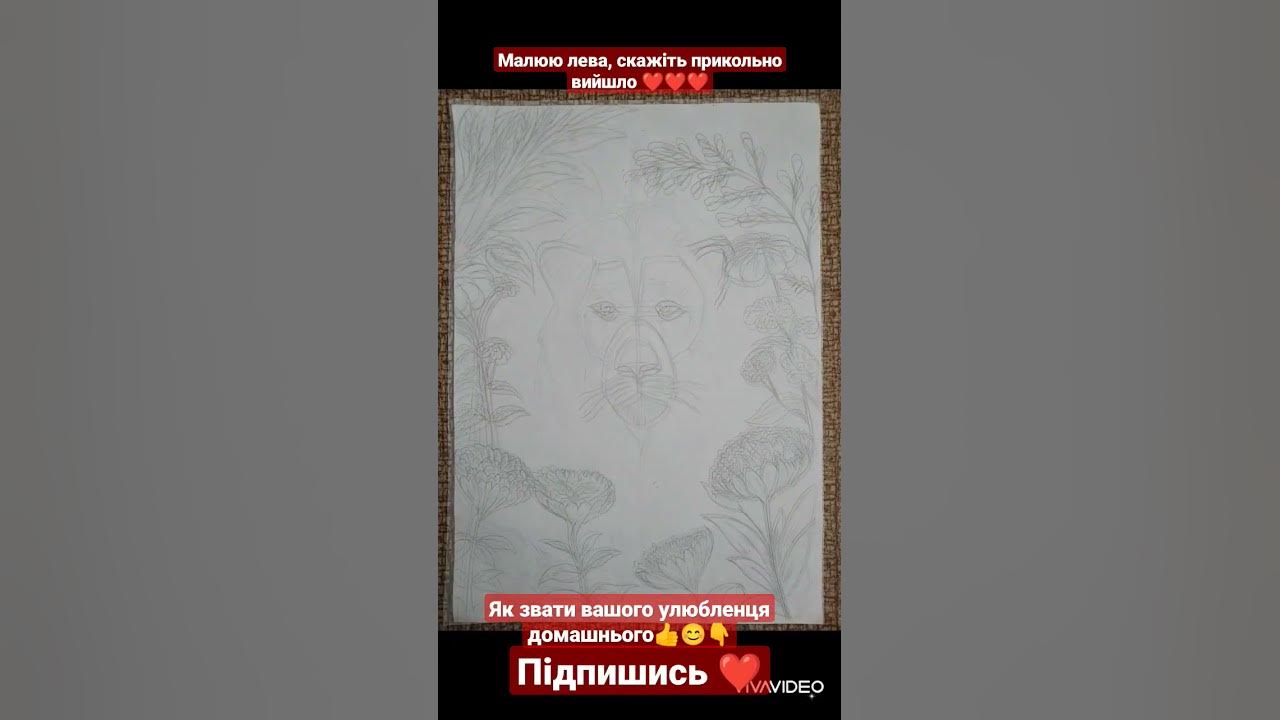 Красивий малюнок лева #підпишись #художник #малюнки - YouTube
