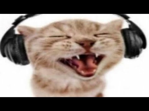 Amnesia was her name - Lemon Demon - перевод на русский - YouTube