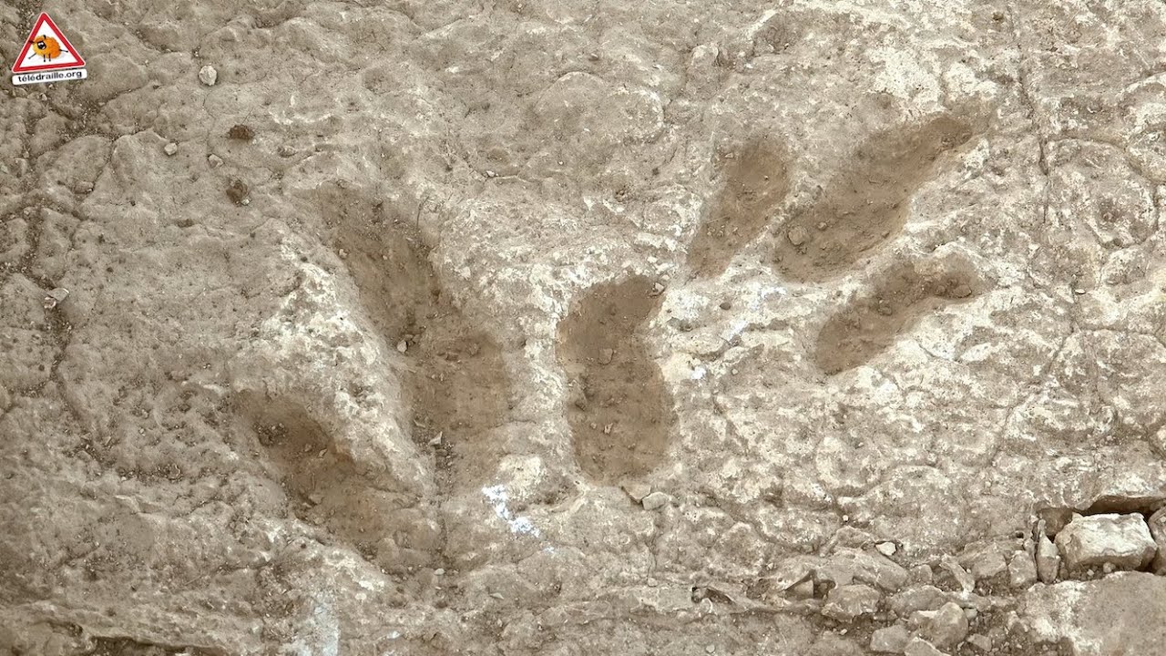 Traces de traces - YouTube