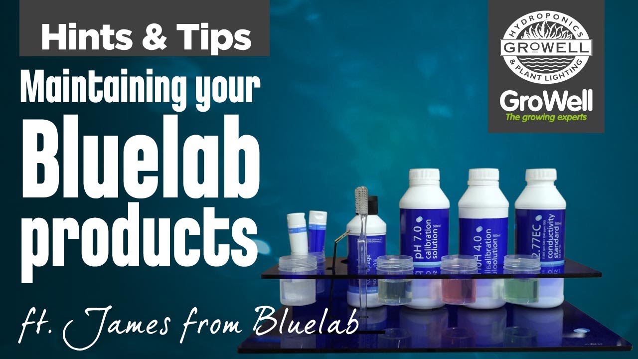 Maintaining your Bluelab products | Hints & Tips - YouTube