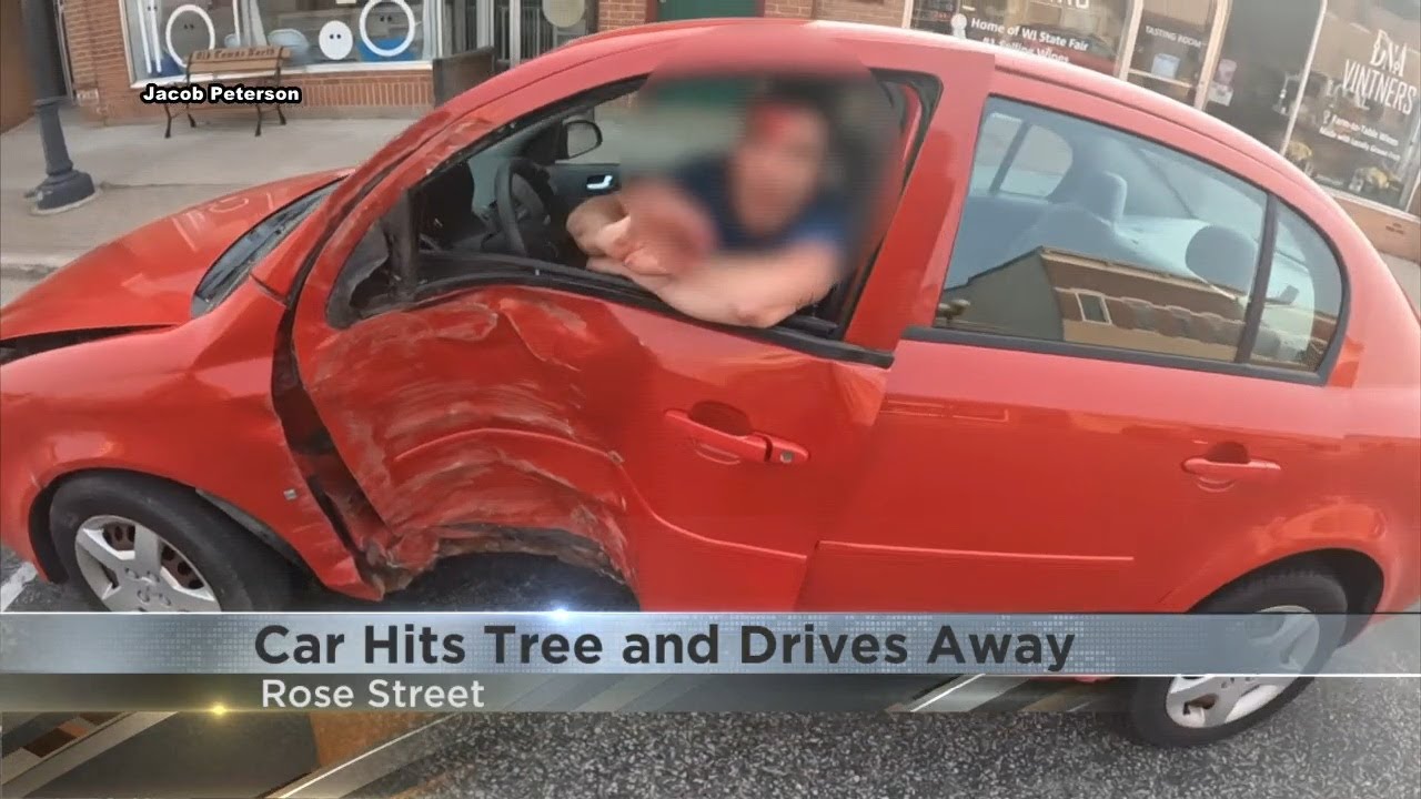 Motorcyclist chases man who hits tree on Rose Street and flees the ...