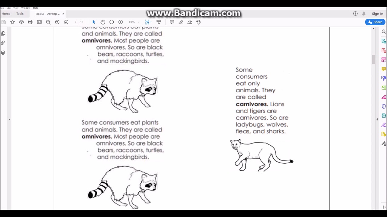 Science - Food Webs (Text Read-Aloud) - YouTube