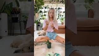 EASY diy trellis!!