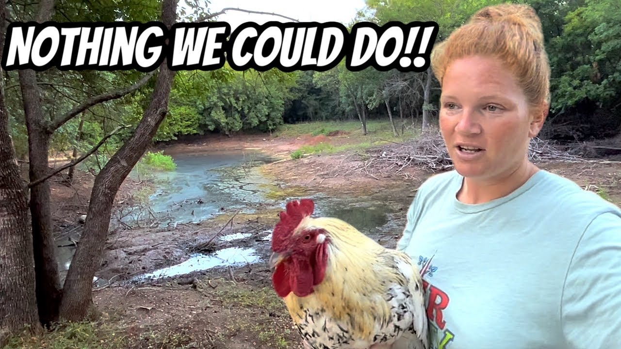 This Is Not Looking Good!!! - YouTube