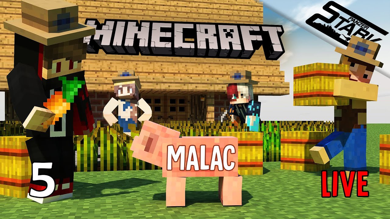 Minecraft Falu a Völgyben - 5.Rész (Épül Szépül Az Infrastruktúra🤪 ...