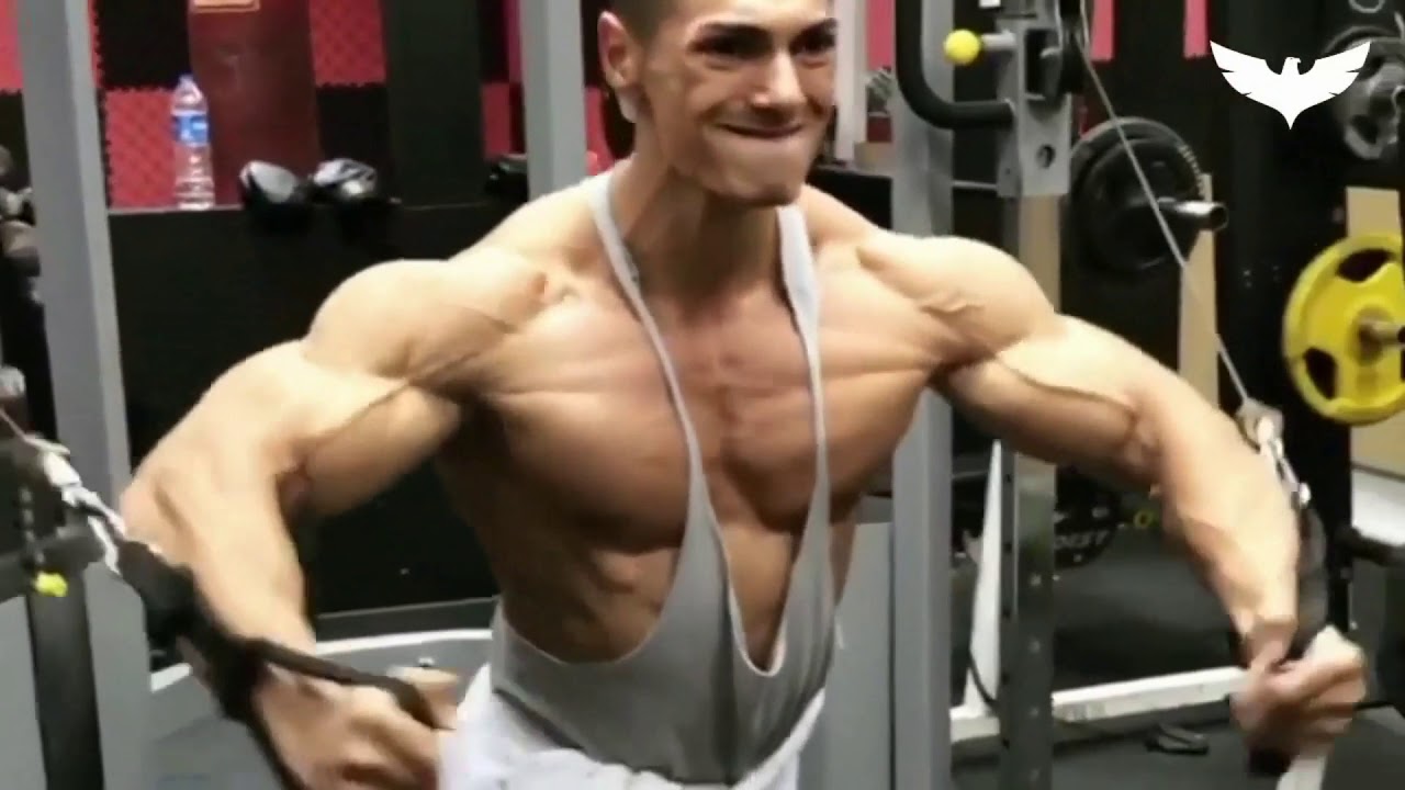 Chest workout || Andrei Deiu - YouTube
