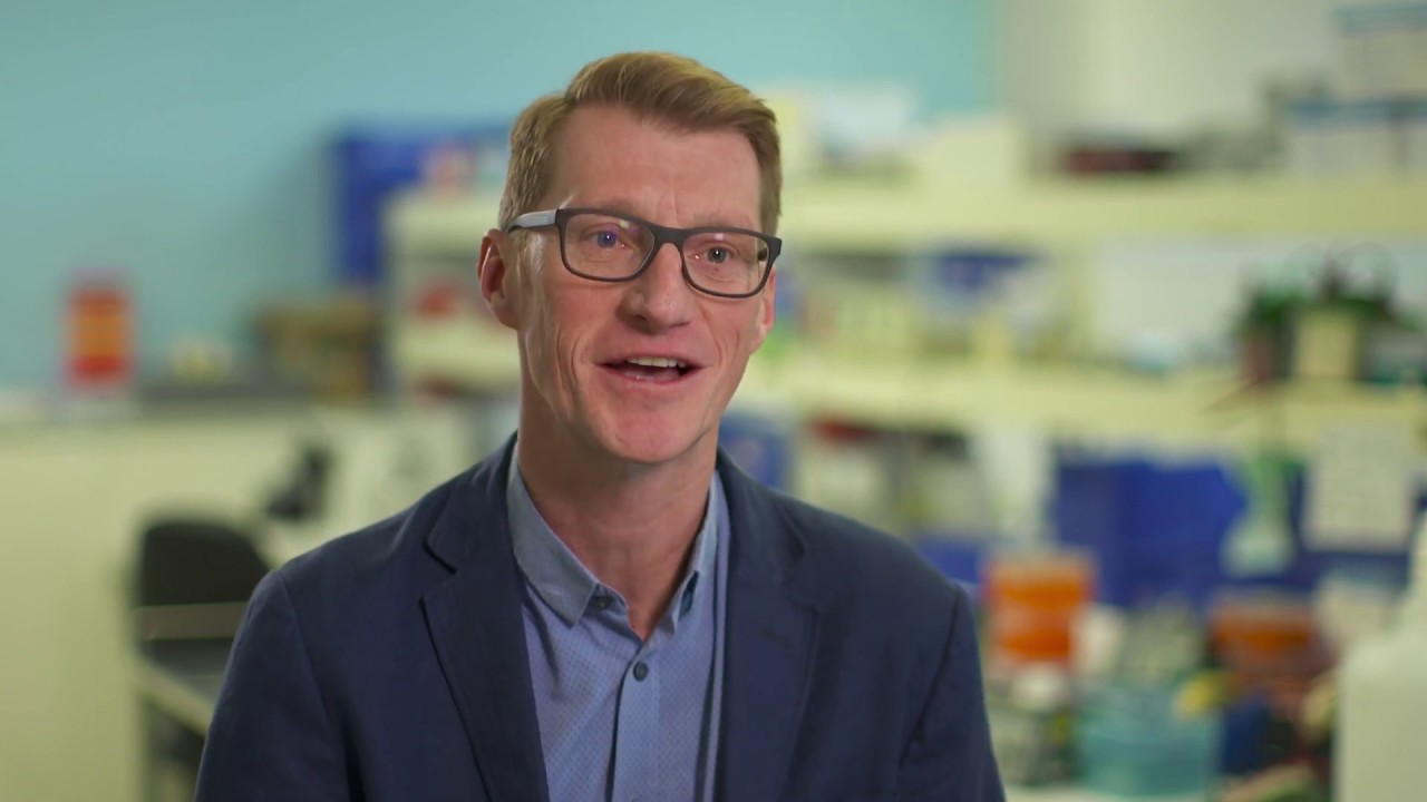 Professor Andrew Steer: World Scabies Elimination Program - YouTube