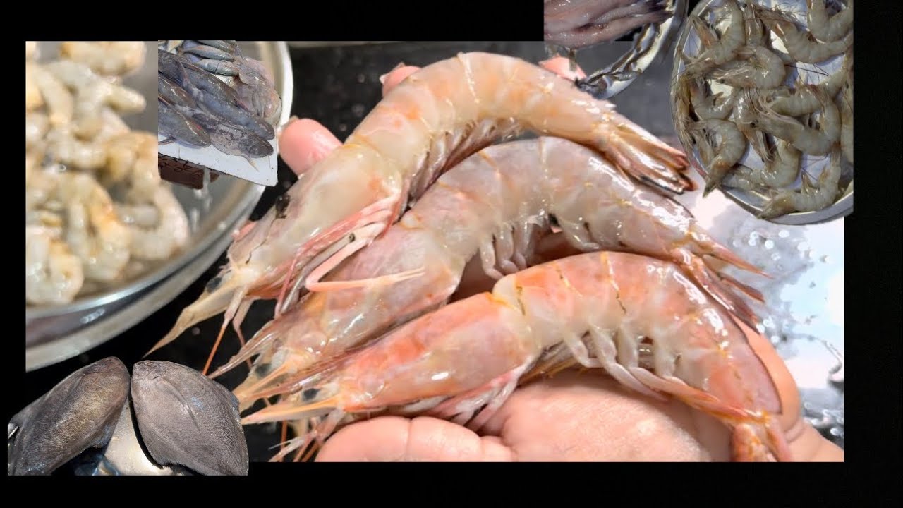 Fish Market and Fish cleaning | Tiger Prawns | shrimps | King Fish ...