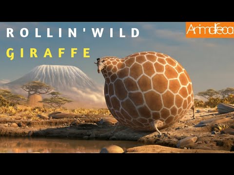 ROLLIN' WILD - 'Giraffe ' - what if animals were round?#RollinWild # ...