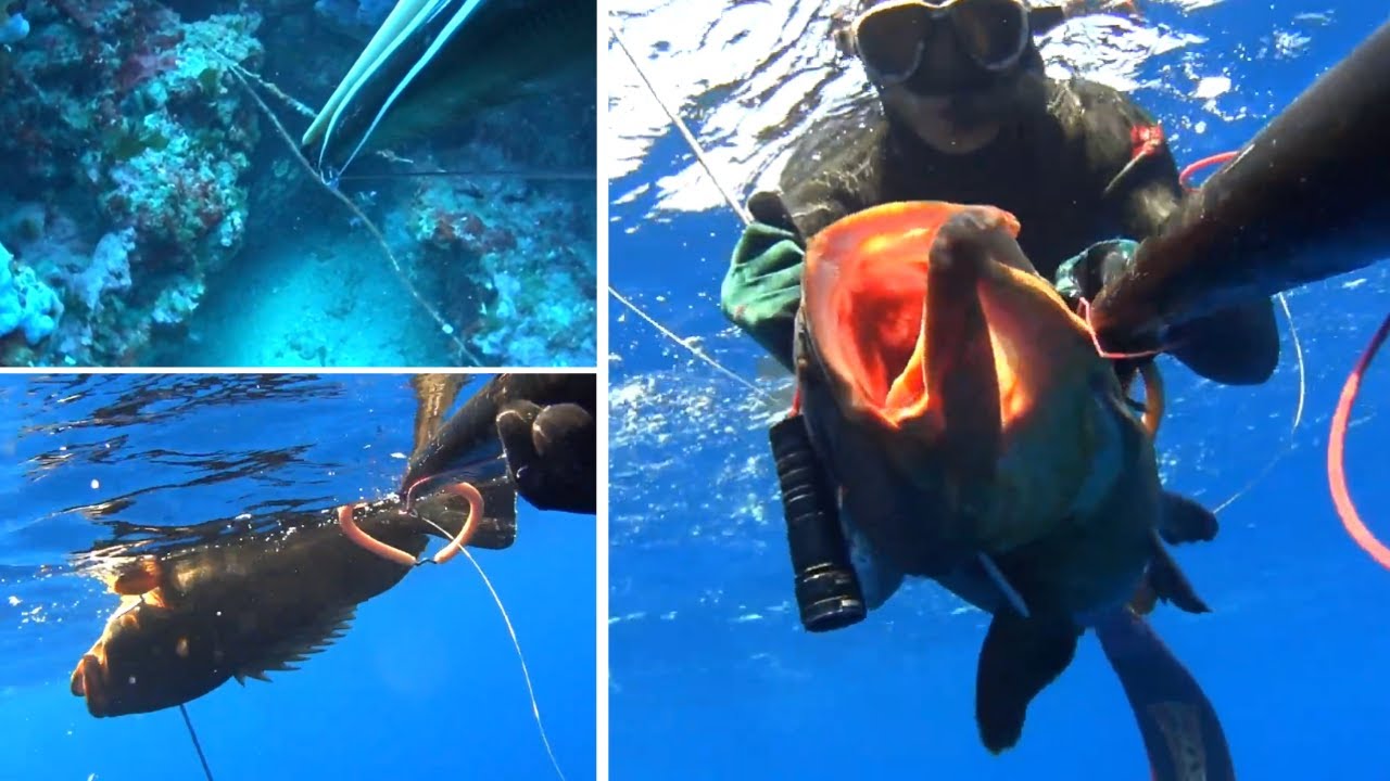Pesca Profunda. MERO 8,5kg - YouTube